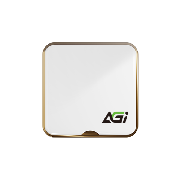 EDM38 Magnetic Portable SSD - AGI Technology